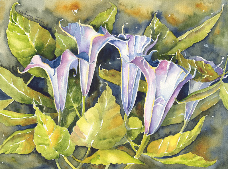 The Tulip Tree - Penny Thompson – Art and Giclee Gallery
